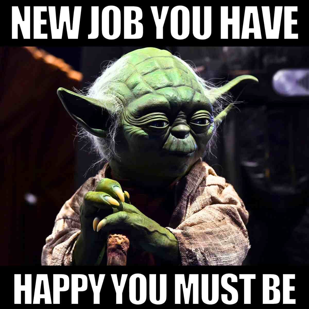I got the job!! – Books, Balance, & Beyond
